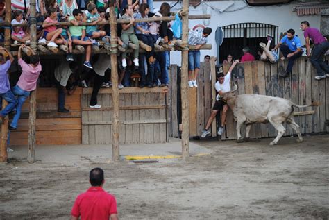 Estar Entre La Espada Y La Pared Conocer El Castellano