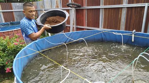 MENGENAL AIR KOLAM BUDIDAYA IKAN LELE YouTube