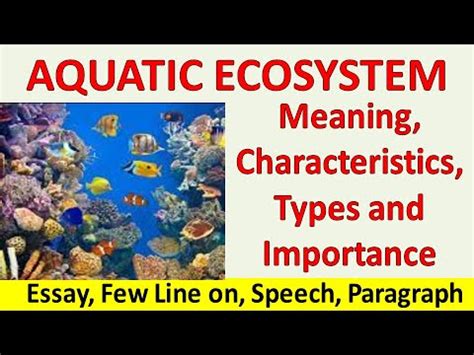 Aquatic Ecosystem Meaning Characteristics Types And Importance What