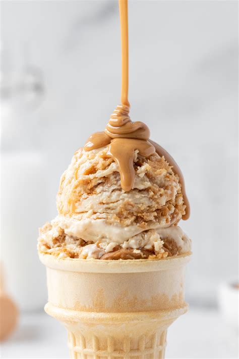 No Churn Peanut Butter Lover S Ice Cream The Hungry Kitchen