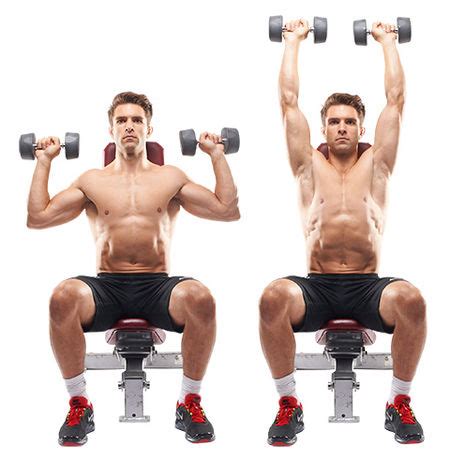 Seated Dumbbell Shoulder Press Bodybuilding Wizard