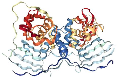 HSD17B4 Protein Overview Sino Biological