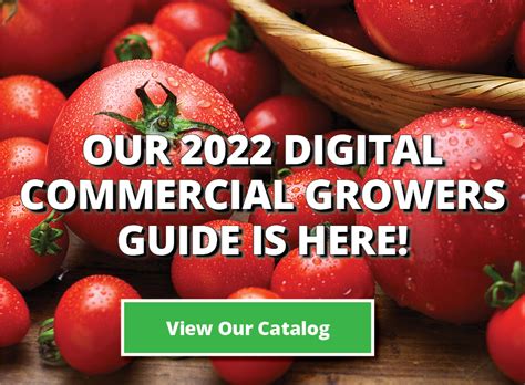 Stokes Seeds Vegetable Seed For Commercial Growers