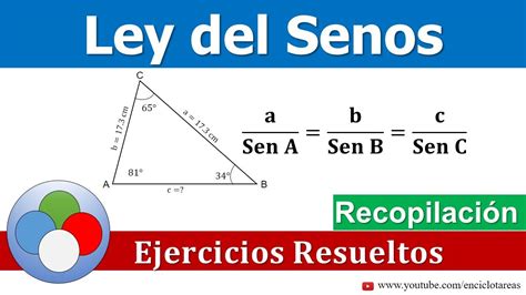 Partes De Los Senos