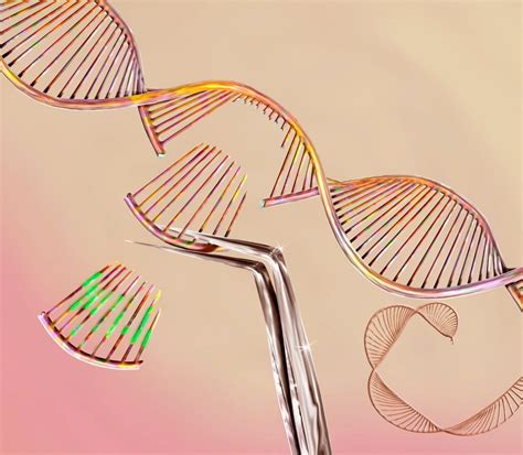 PASTE Dont Cut Genome Editing Tool Looks Beyond CRISPR And Prime