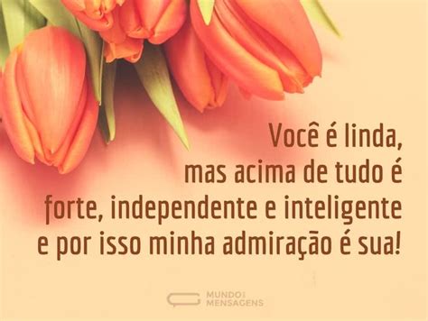 Mensagens mais recentes Página 1190 Mundo das Mensagens