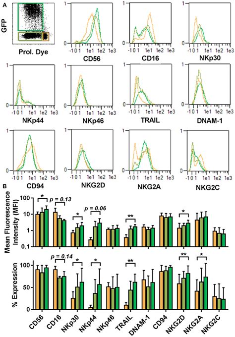 Frontiers A Distinct Subset Of Highly Proliferative And Lentiviral