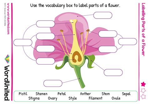 39 Label Parts Of A Circle Worksheet