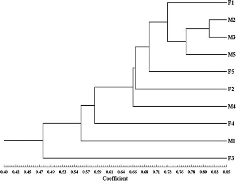 dendrogram constructed with upgma clustering method based on aflp download scientific diagram
