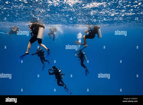 Group Of Scuba Divers In Black Wetsuit And Fins With Tank Diving Into