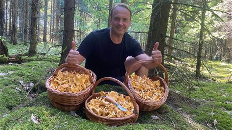 Kurkowy Raj Pokazuj Przer Ne Miejsca Wyst Powania Pieprznika
