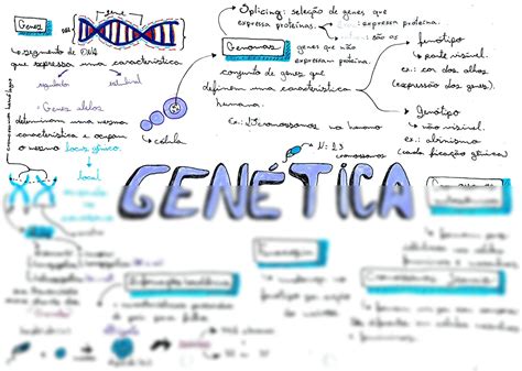 SOLUTION Genética mapa mental Studypool