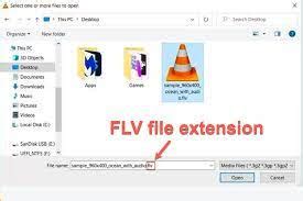FLV File What It Is And How To Open One CitizenSide