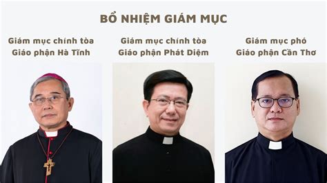 Bổ nhiệm Giám mục chính tòa các giáo phận Hà Tĩnh và Phát Diệm Giám