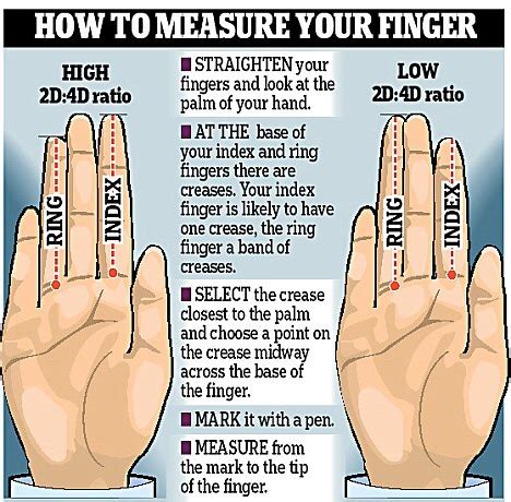 Finger Length Tells You Everything SiOWfa15 Science In Our World