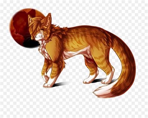 القط المحاربين Leafpool صورة بابوا نيو غينيا