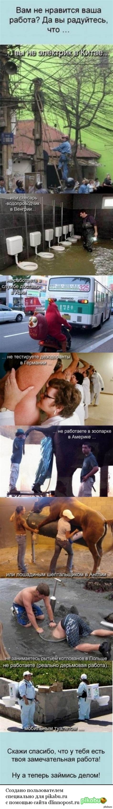 а я люблю свою работу Пикабу