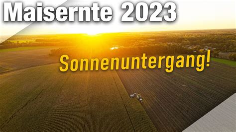 Maisernte Maish Ckseln Im Sonnenuntergang Mit Claas Jaguar