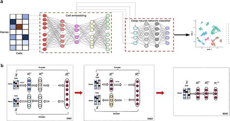 lider cell embedding based deep neural network classifier for supervised cell type