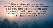 9 Versículos de la Biblia sobre Disciplina DailyVerses net
