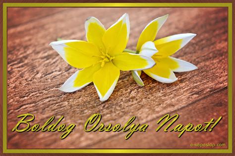 Névnapi képeslap Orsolya névnapra Képeslapok e kepeslap