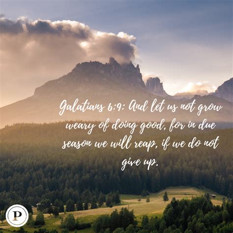 Bible Verses About Helping Others Parade