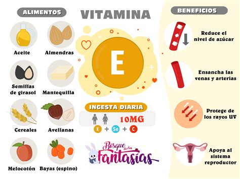 Las Vitaminas Alimentos Beneficios E Infograf As Para Primaria