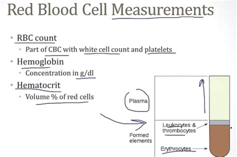 Hematology Rbc Microcytic Anemia Flashcards Quizlet