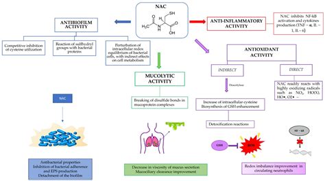 N Acetylcysteine