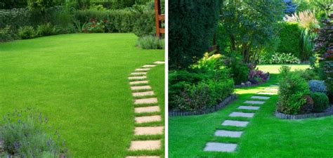 How To Transform Your Lawn Step By Step Guide 2024