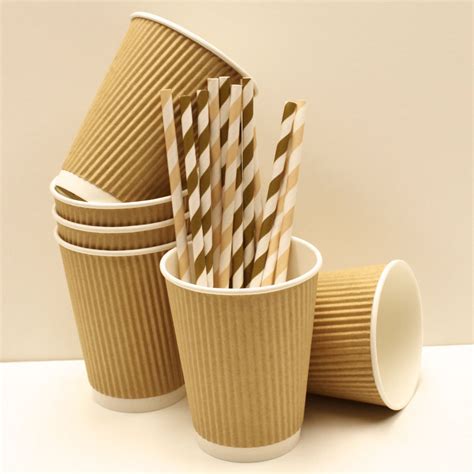 Environmental Protection Disposable Double Walled Ripple Walled
