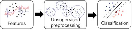 in order to incorporate the unlabeled data into the classification an download scientific