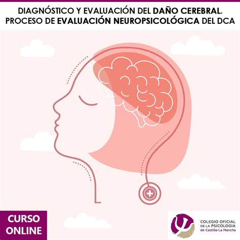 1ª Ed Diagnóstico Y Evaluación Del Daño Cerebral Proceso De