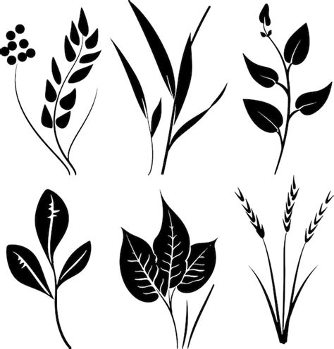 Colección de líneas de silueta de hojas en blanco y negro Vector