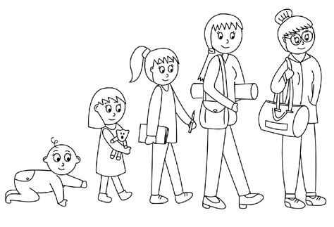 Dibujos De Etapas Del Desarrollo Humano Para Colorear Para Colorear