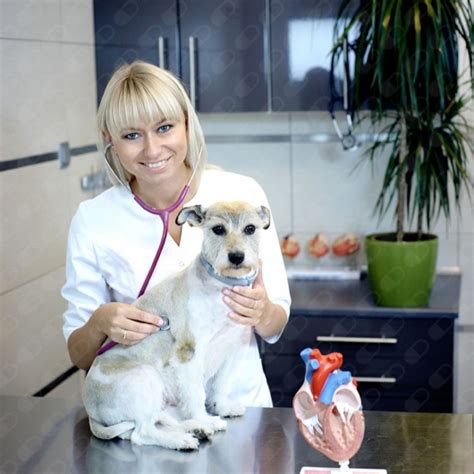 Kasia Kraszewska Telegraph