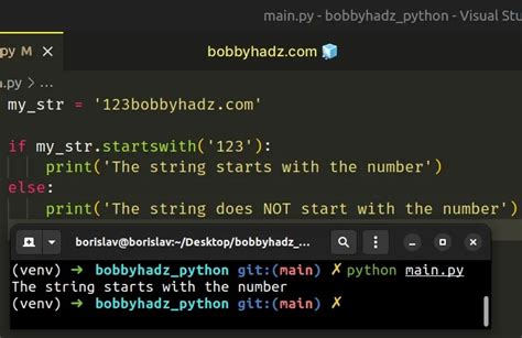 Check If A String Starts With A Number Or Letter In Python Bobbyhadz