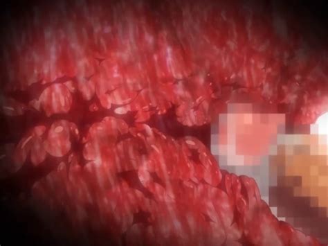 Watch Harem Cult Episode 4 Hentai Video HentaiPrno Tube