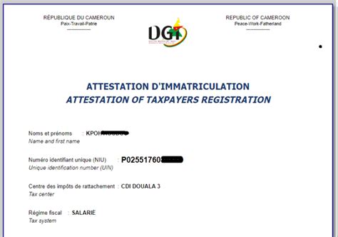 Obtenez votre numéro didentifiant unique NIU en 1 min 2024
