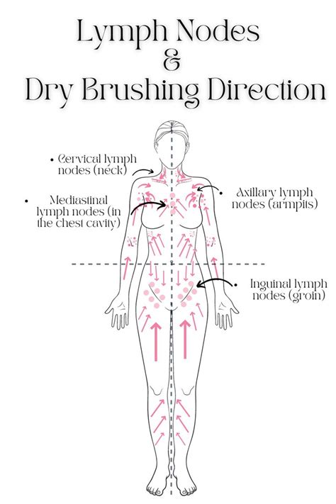 Learn A Step By Step Dry Brushing Routine And The Benefits Drybrushing