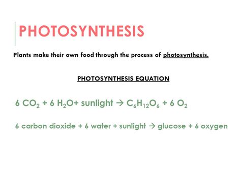Chemosynthesis Formula