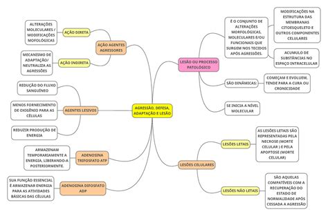 Mindmap Mapa Mental Sobre Mecanismo De Defesa Agress O Defesa The