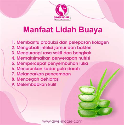 Manfaat Lidah Buaya DrW Skincare