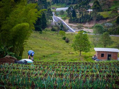 Guía completa para una agricultura sostenible técnicas y consejos
