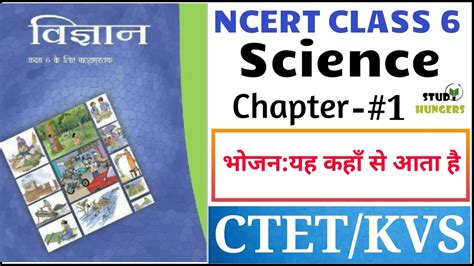 Class Science Ncert Chapter Food Where Does It Come From Ctet