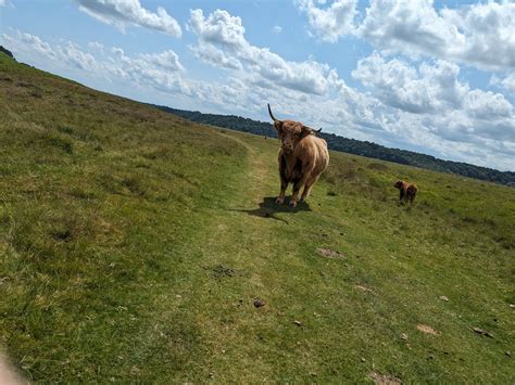 Yorks E Mids Walks Wnhd Levisham Yorkshire And East Midlands