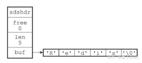 redis：7个基本类型 知乎