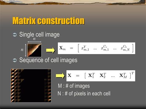ppt eigen texture method appearance compression based on 3d modeling powerpoint presentation