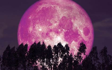 Qué es la Superluna Rosa Cómo y cuándo verla Mediotiempo