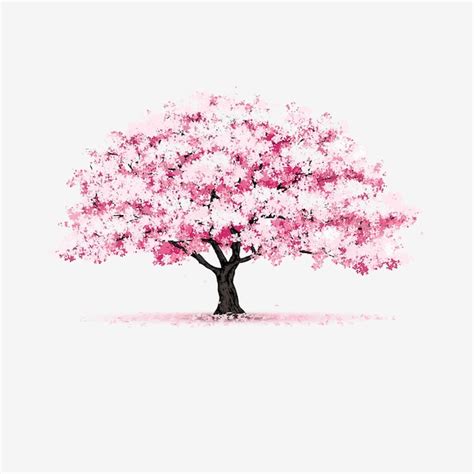 Top More Than 85 Cherry Blossom Tree Anime Super Hot In Coedo Vn